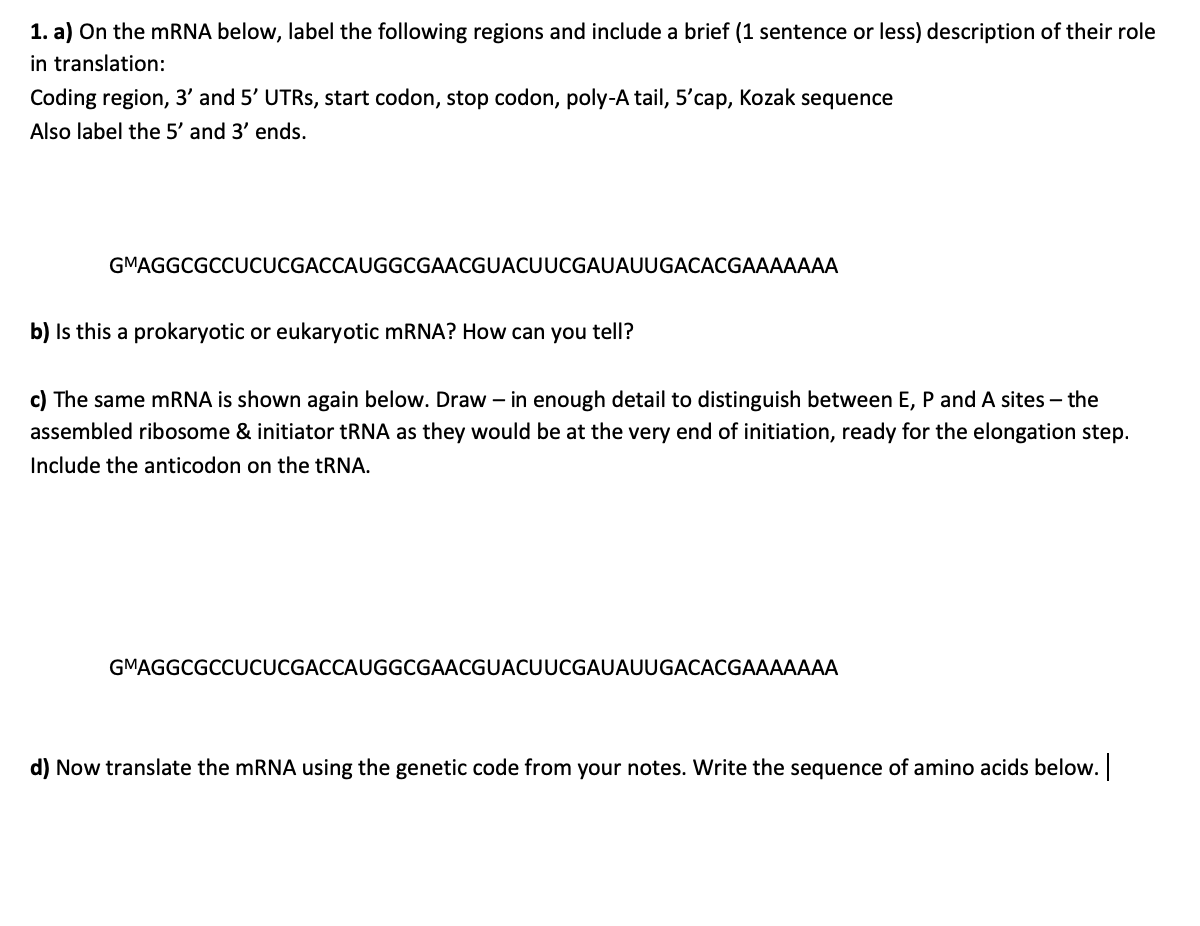 Solved 1. a) On the mRNA below, label the following regions | Chegg.com