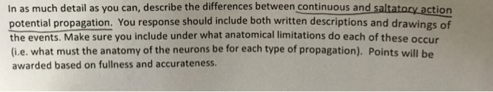 Solved In as much detail as you can, describe the | Chegg.com