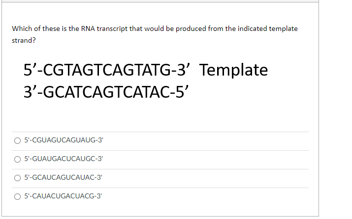 Solved Which of these is the RNA transcript that would be | Chegg.com