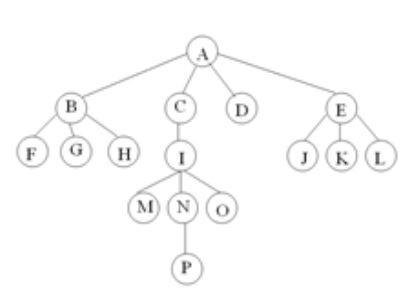 Solved Given the following general tree, what are the | Chegg.com