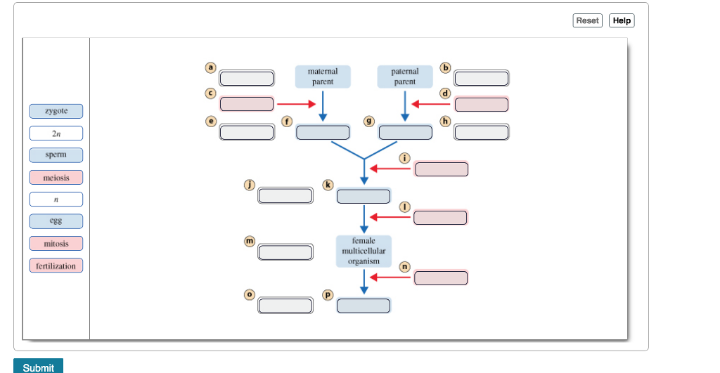 Drag The Labels From The Left To Their Correct Locations In The Concept Map On The Right Map