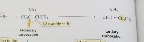 Solved How can you tell the difference between a secondary | Chegg.com