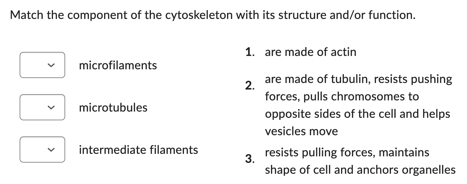Solved Match the component of the cytoskeleton with its | Chegg.com
