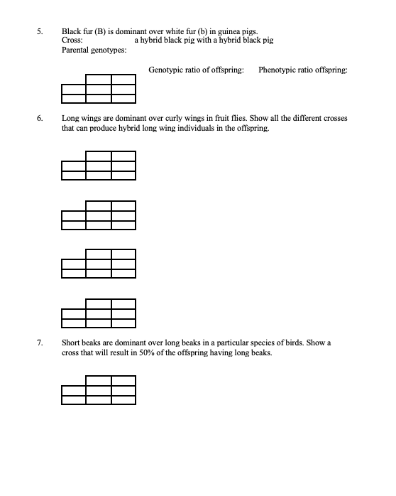 Solved Name Worksheet #1 - Practice problems in Genetics 1. | Chegg.com