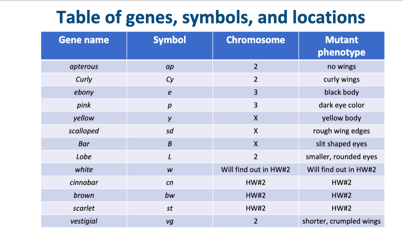 Solved 3. a. (0.5pt) Using proper notation, show both the | Chegg.com