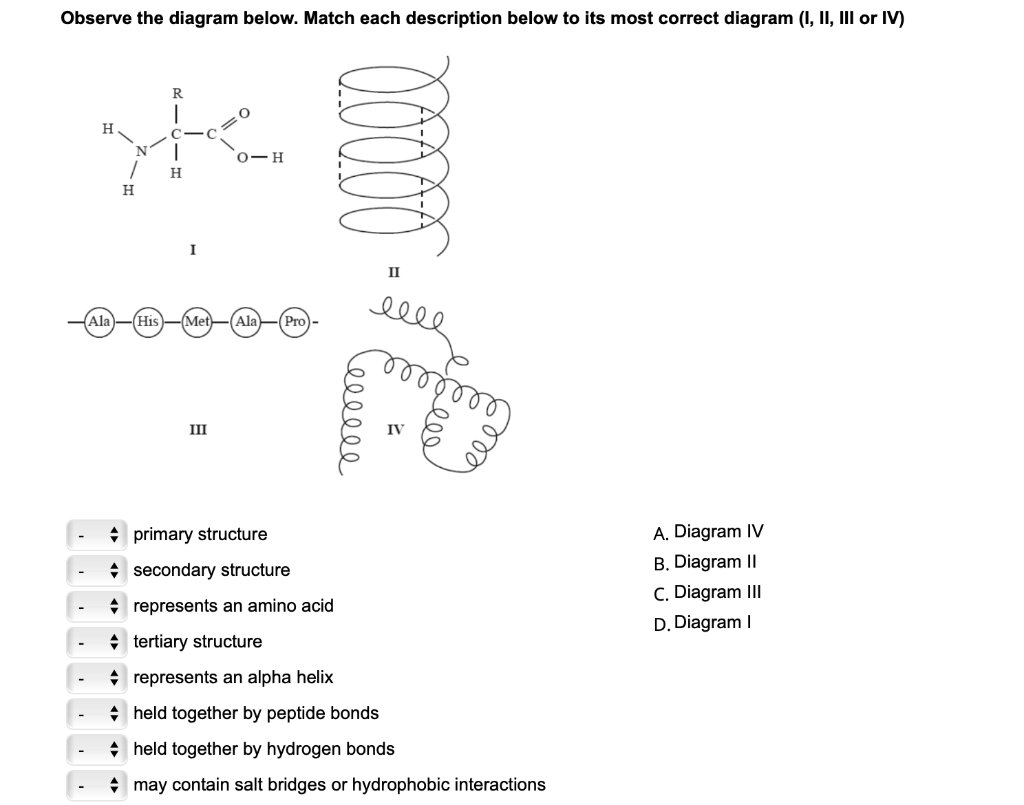 Solved Observe the diagram below. Match each description | Chegg.com