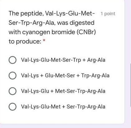 Solved The peptide, Val-Lys-Glu-Met- 1 point | Chegg.com