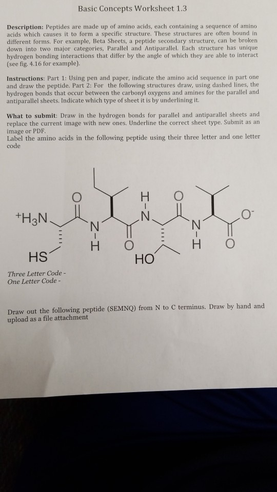 Basic Concepts Worksheet 1.3 Description: Peptides | Chegg.com