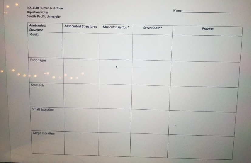 Solved FCS 3340 Human Nutrition Digestion Notes Seattle | Chegg.com