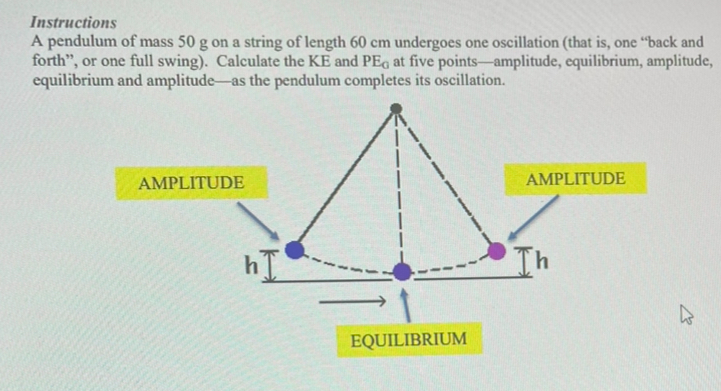 Solved Instructions A pendulum of mass 50 g on a string of | Chegg.com