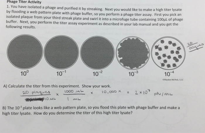 Solved Phage Titer Activity 1. You have isolated a phage and | Chegg.com
