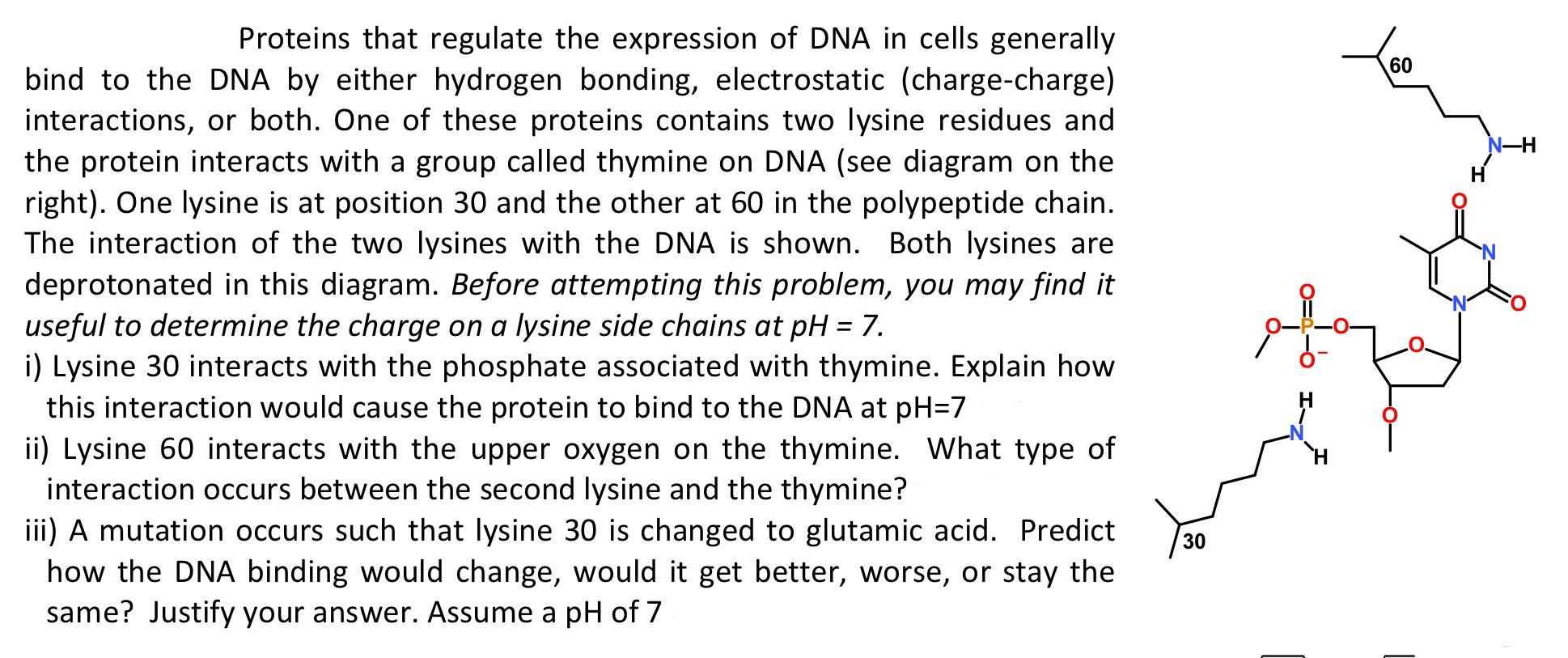 Solved Proteins that regulate the expression of DNA in cells | Chegg.com