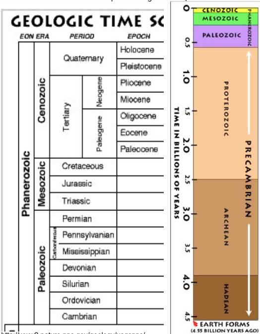 Solved Determining the age of a geologic section often | Chegg.com