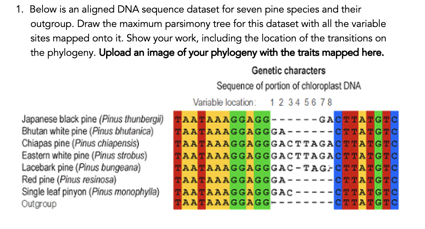 Solved 1. Below is an aligned DNA sequence dataset for seven | Chegg.com