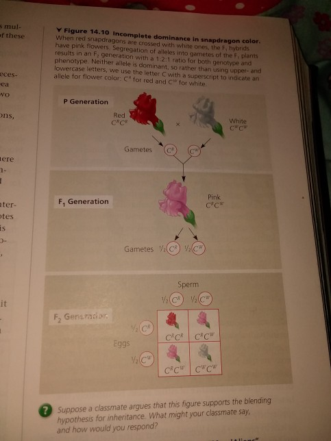 Solved What is incomplete dominance? What is codominance? | Chegg.com