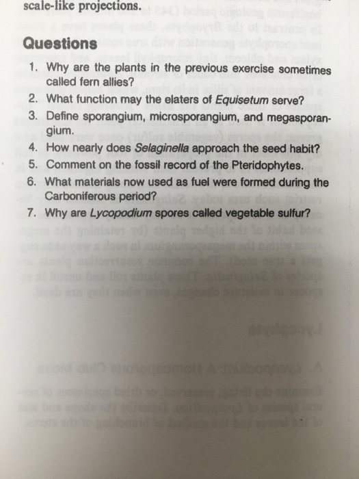 Solved sules and the length and number of perisome teeth. | Chegg.com