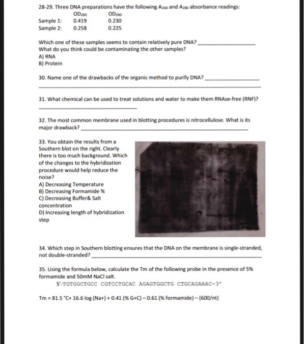 Solved 28-29. Three DNA preparations have the following Aso | Chegg.com