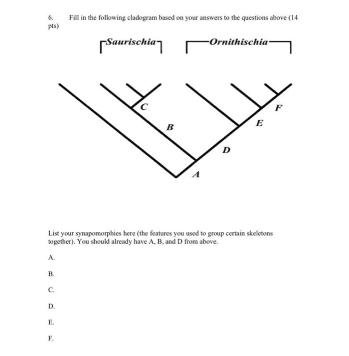 Solved GEOSC 021 Earth and Life Dinosaur Cladogram In-class | Chegg.com
