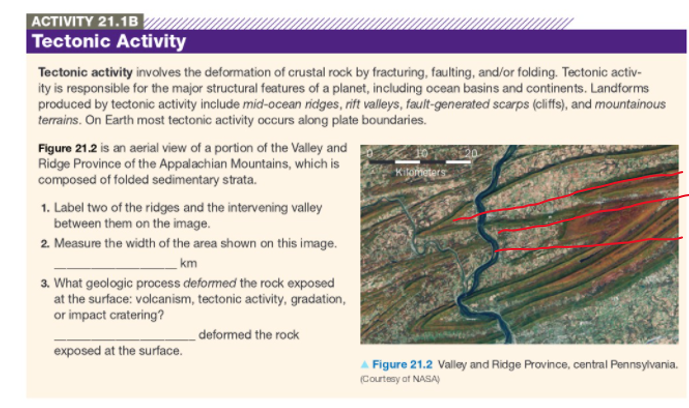 Solved ACTIVITY 21.1B Tectonic Activity Tectonic activity | Chegg.com