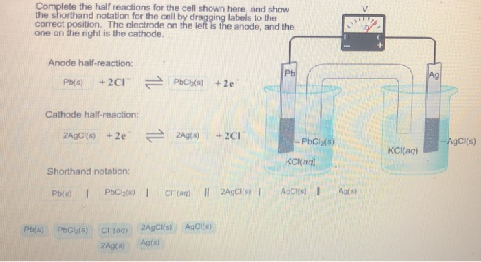 Solved Complete the half reactions for the cell shown here, | Chegg.com