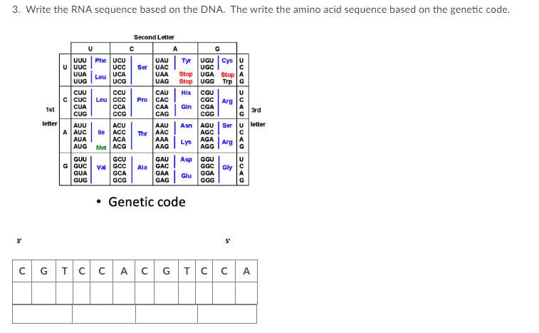 Solved 3. Write the RNA sequence based on the DNA. The write | Chegg.com