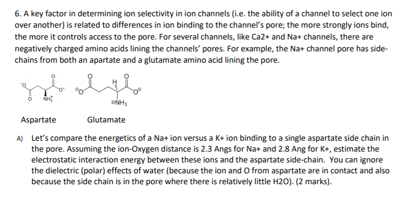 6. A key factor in determining ion selectivity in ion | Chegg.com