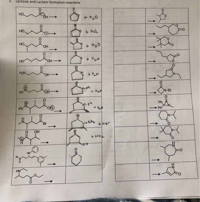 Solved 3. Lactone and Lactam formation reactions Had OH→ H2N | Chegg.com