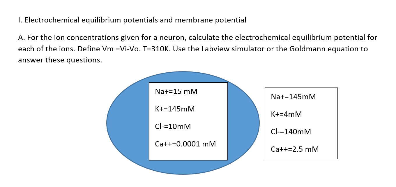 Solved I. Electrochemical equilibrium potentials and | Chegg.com