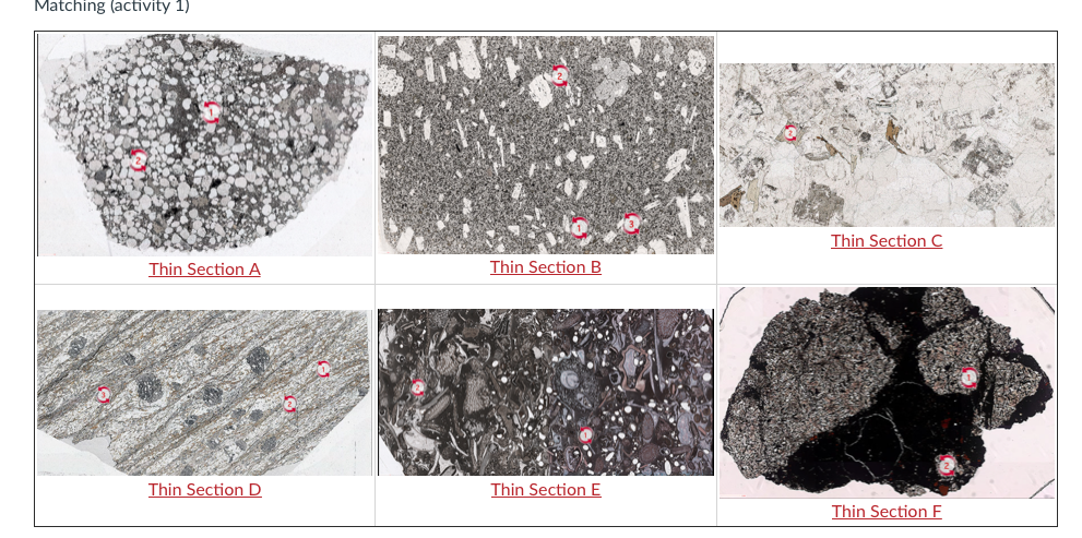 Solved Analysis of Textures in Thin Section 1. In the table | Chegg.com