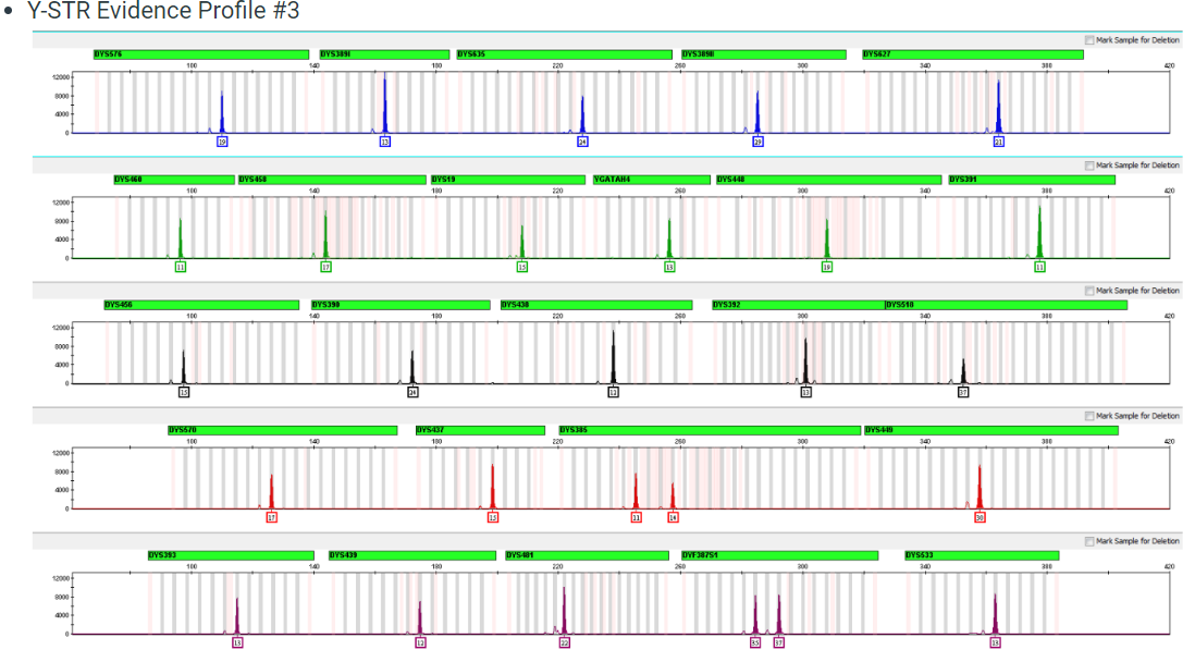 Solved Part A. Y-STR DNA Profile Interpretation questions | Chegg.com
