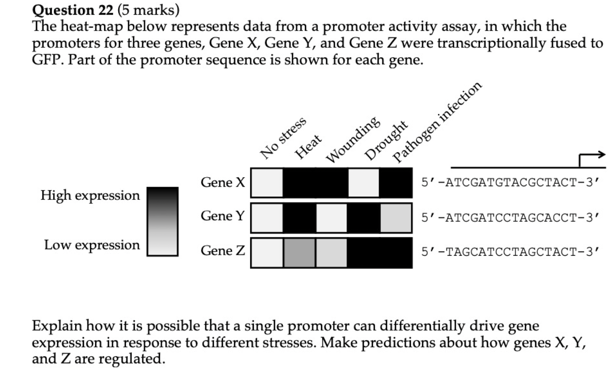 Solved Question 22 (5 ﻿marks)The heat-map below represents | Chegg.com