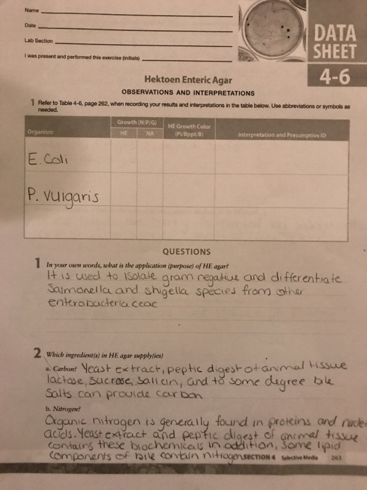 Solved Narne Date Lab Section I was present and performed | Chegg.com