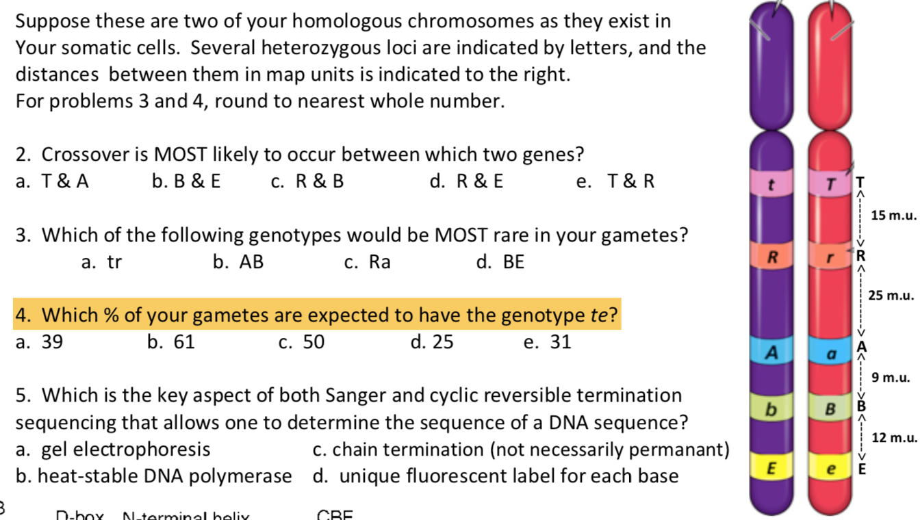 Solved Question 4, regarding gene linkage and | Chegg.com