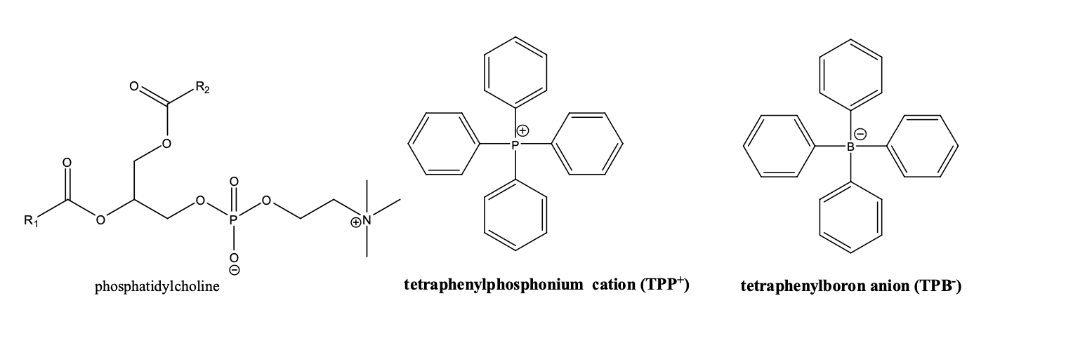 The paper discusses, thermodynamic properties of | Chegg.com