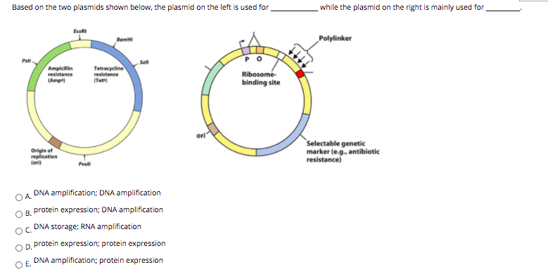 Solved Based on the two plasmids shown below, the plasmid on | Chegg.com