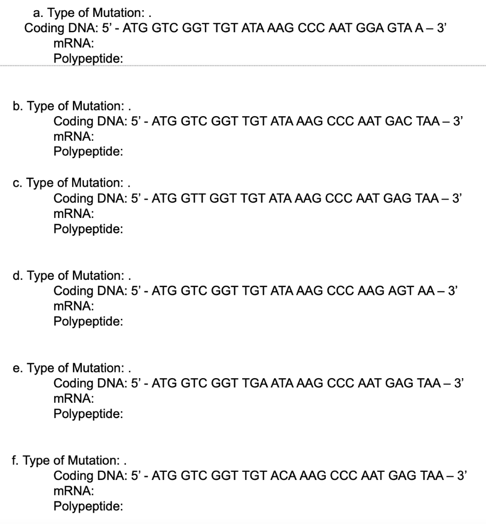 Solved WT DNA: 5' - ATG GTC GGT TGT ATA AAG CCC AAT GAG TAA | Chegg.com