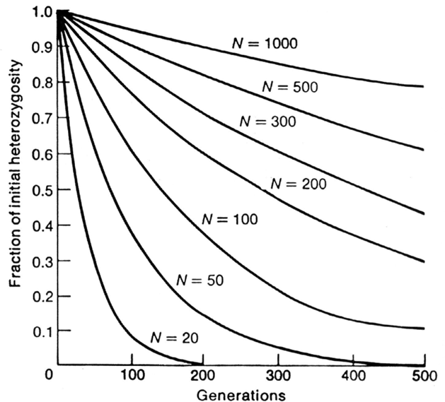 Solved Explain this graph in 1 - 2 sentences. What | Chegg.com