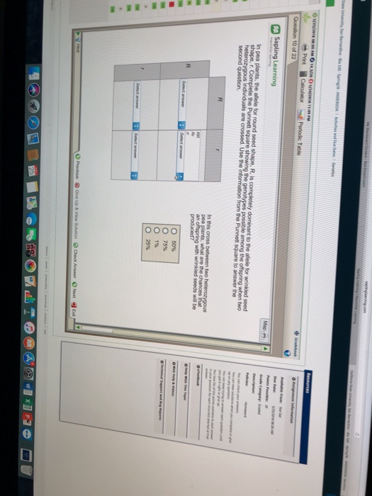 Solved In pea plants, the allele for round seed shape. R, is | Chegg.com