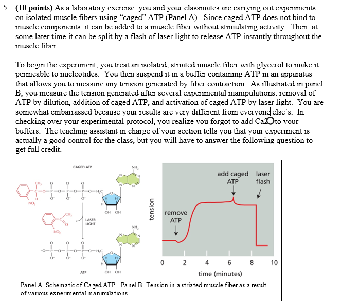 Solved 5. (10 points) As a laboratory exercise, you and your | Chegg.com