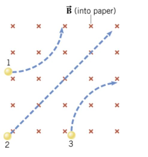 Solved Review Conceptual Example 4 and Concept | Chegg.com
