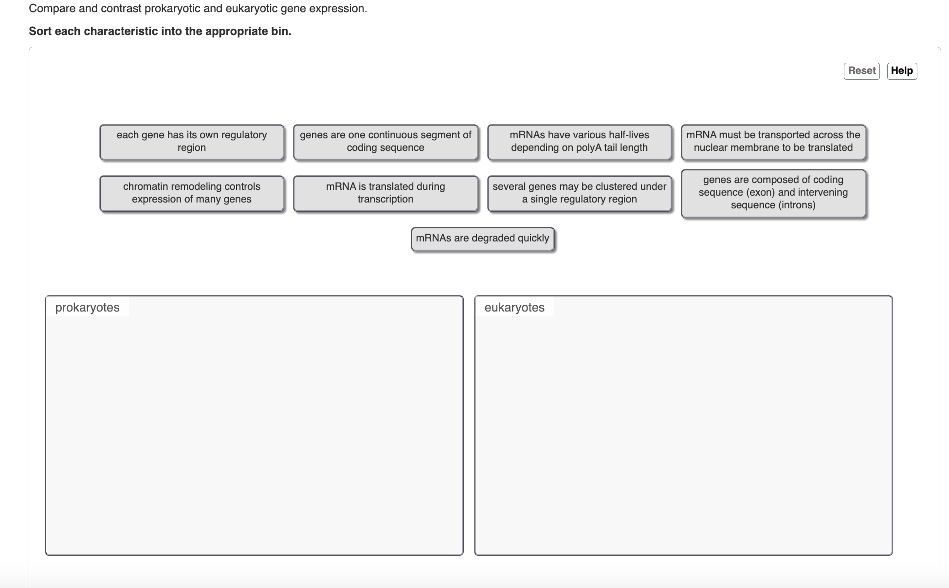 Solved Compare and contrast prokaryotic and eukaryotic gene | Chegg.com