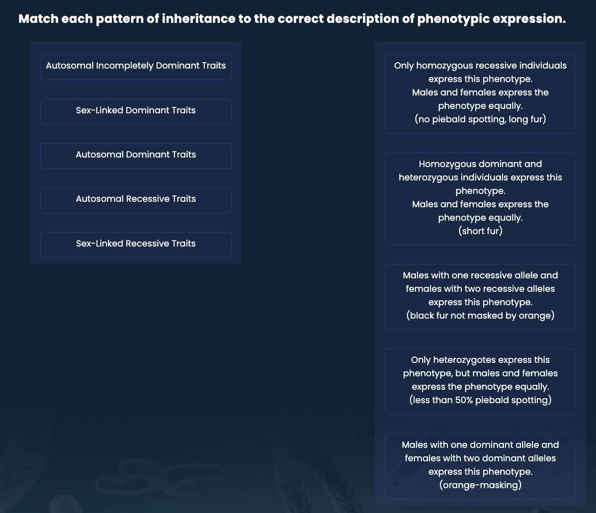 Solved Match each pattern of inheritance to the correct | Chegg.com