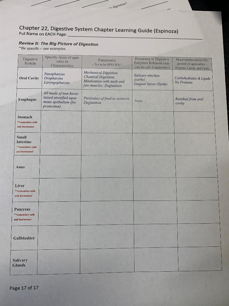 Solved Chapter 22, Digestive System Chapter Learning Guide | Chegg.com