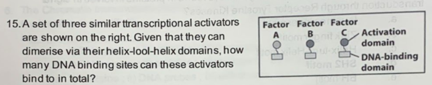 Solved 1. In the following double stranded DNA sequence, | Chegg.com