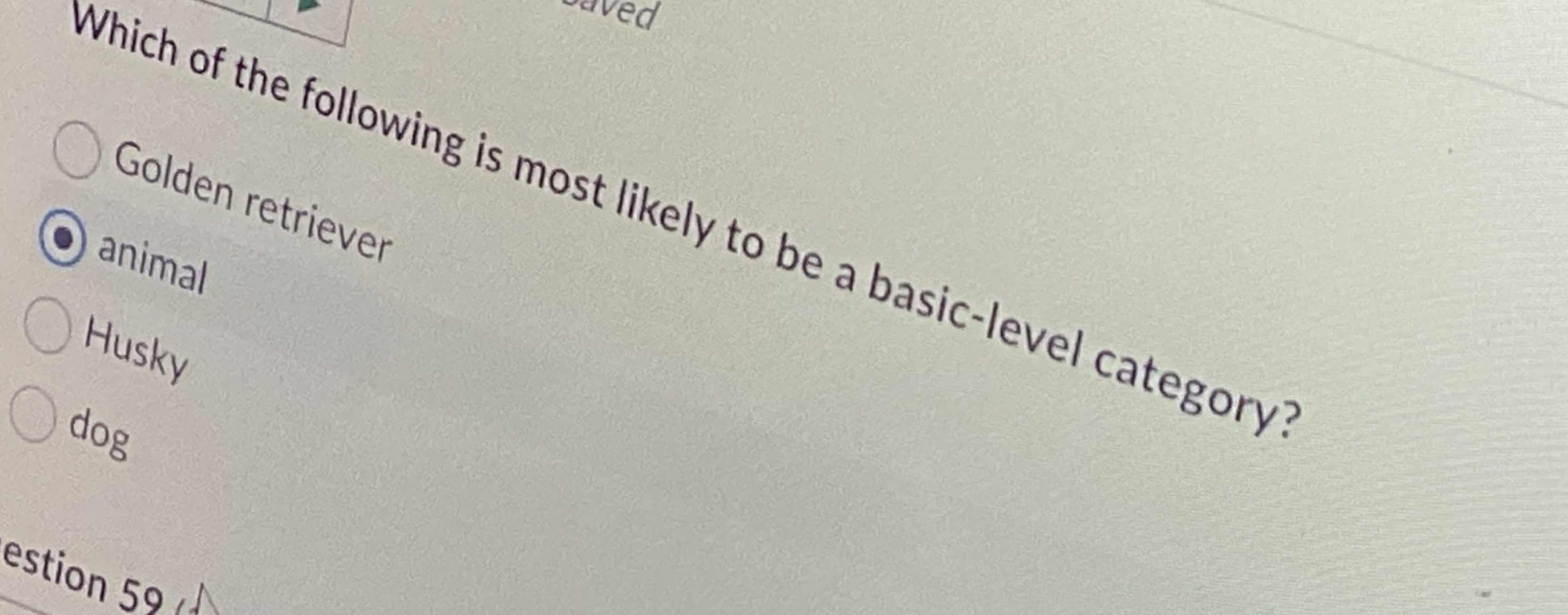 Solved is most likely to be a basic-level | Chegg.com