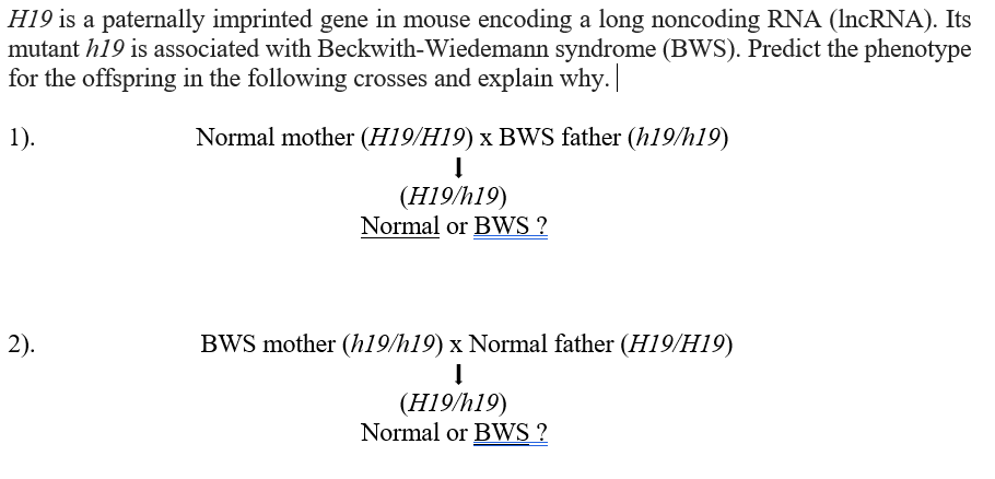 H19 is a paternally imprinted gene in mouse encoding | Chegg.com