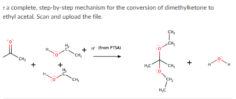 Solved z a complete, step-by-step mechanism for the | Chegg.com