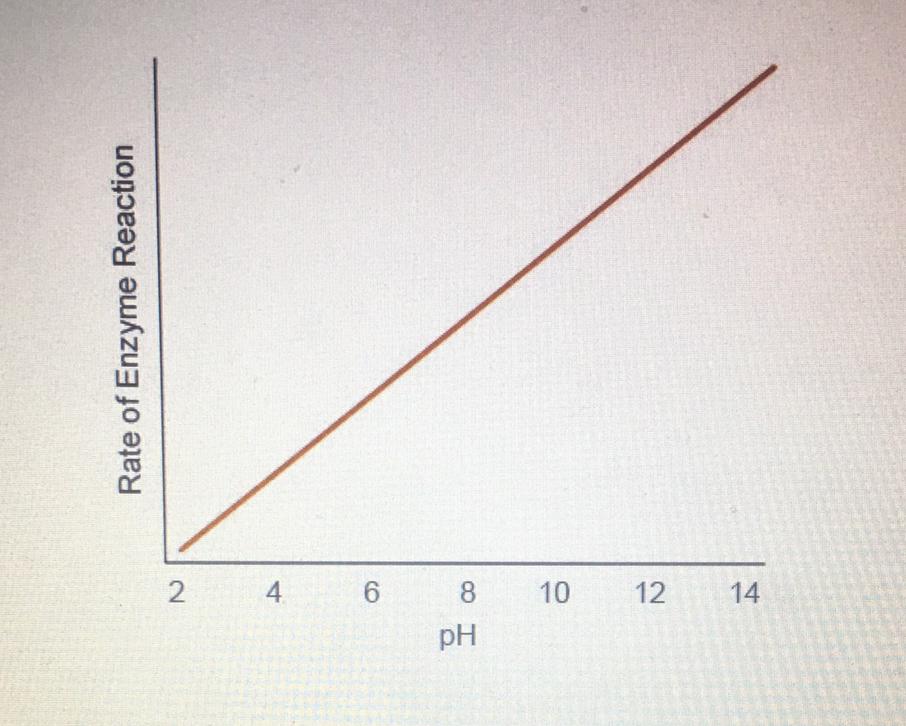 Solved The ionic group COO- on succinate forms bonds with | Chegg.com