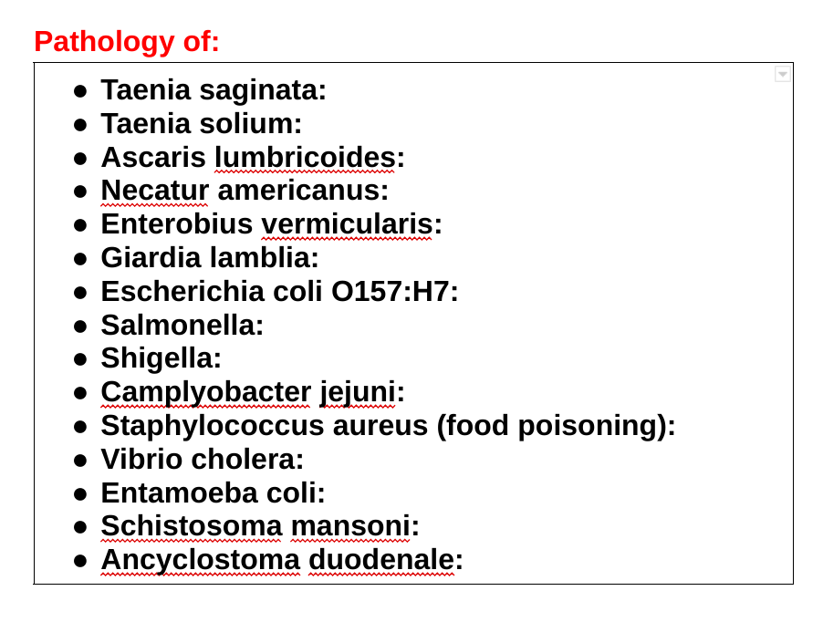 Solved Pathology of: - Taenia saginata: - Taenia solium: - | Chegg.com
