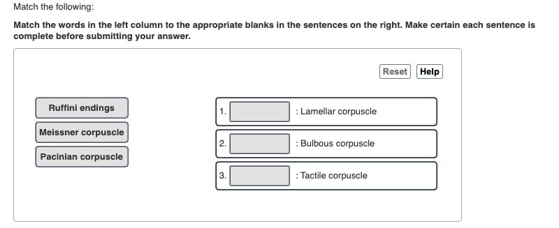 Solved Match the following: Match the words in the left | Chegg.com
